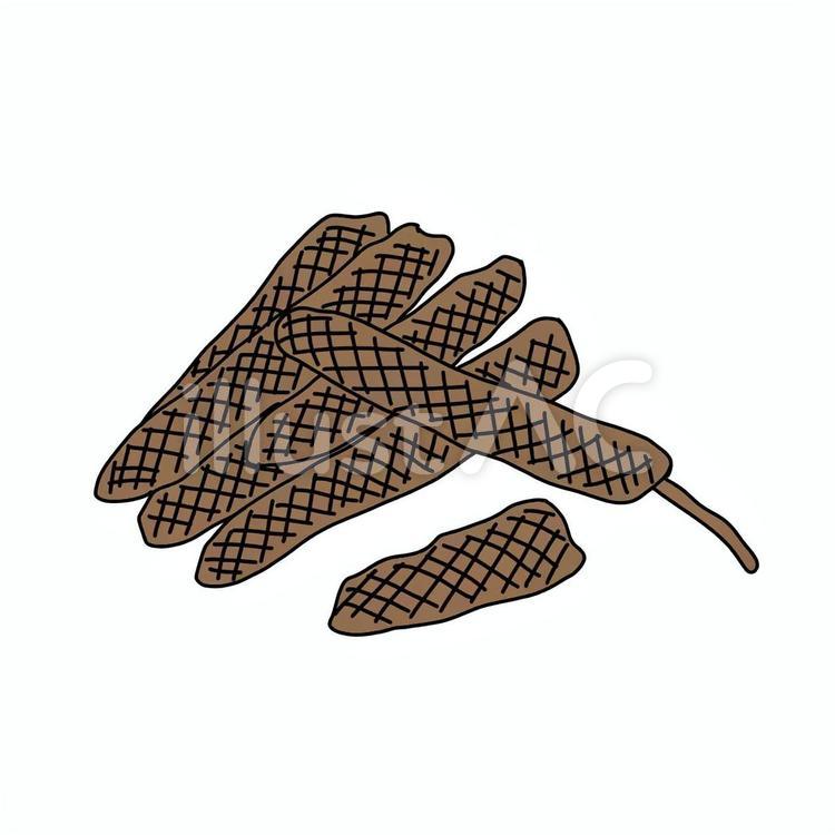 ヒハツイラスト - No: 2065999／無料イラストなら「イラストAC」