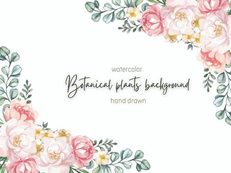 Free Vectors | botanical watercolor background