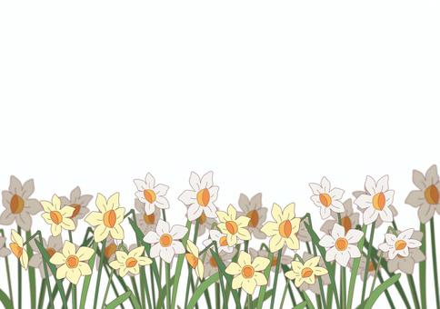 水仙イラストイラスト／無料イラスト/フリー素材なら「イラストAC」