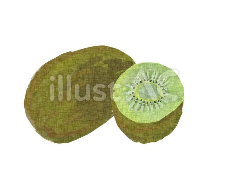 무료 벡터 | {{제목}}