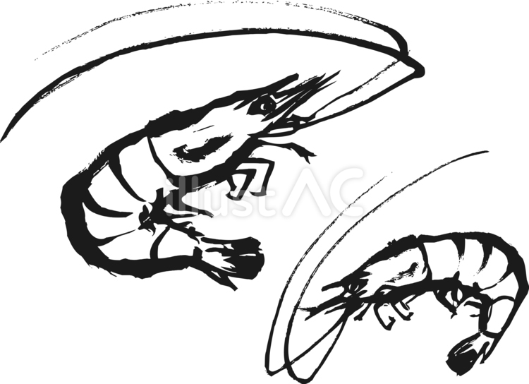 筆で描いた海老イラスト - No: 26495489｜無料イラスト・フリー素材なら「イラストAC」