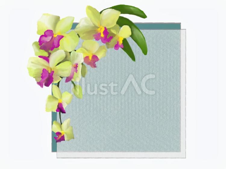 蘭フレームイラスト - No: 23907080／無料イラスト/フリー素材なら「イラストAC」