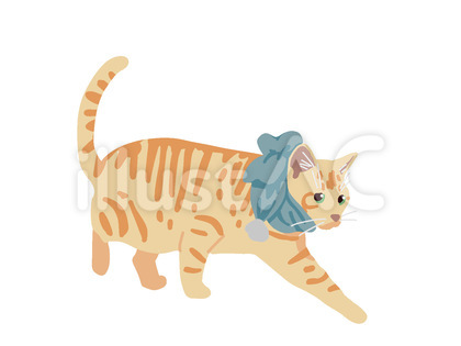 青いマフラーでお散歩する茶トラネコイラスト - No: 24566933｜無料イラスト・フリー素材なら「イラストAC」