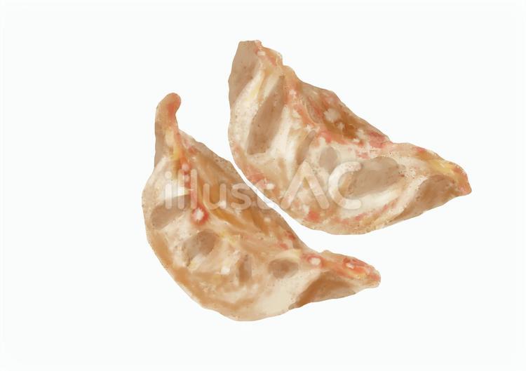 揚げ餃子 2個イラスト - No: 23747883／無料イラスト/フリー素材なら「イラストAC」