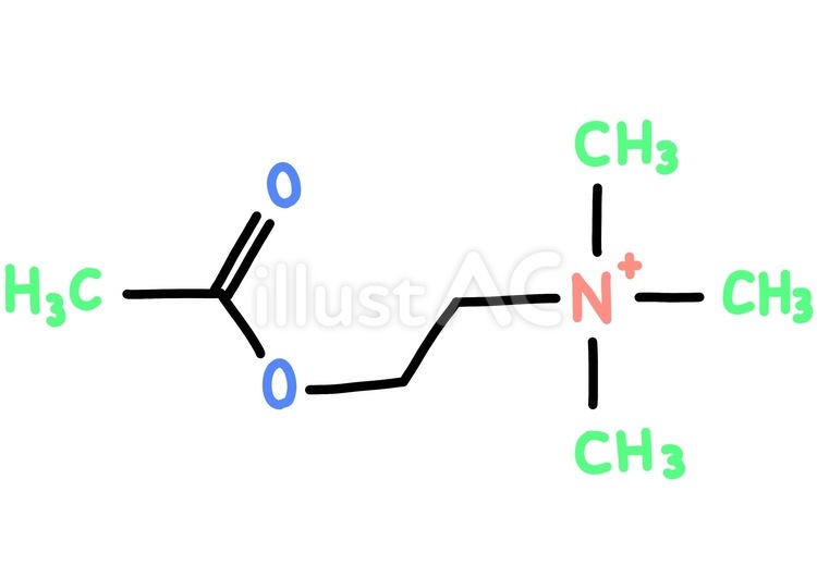 Free Vectors | The chemical formula of acetylcholine