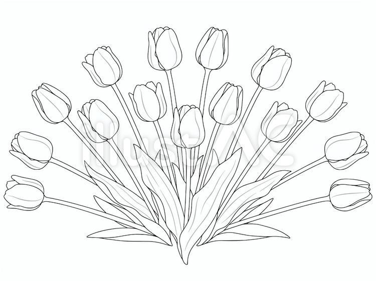 Tulip Bouquet Clip Art Black And White