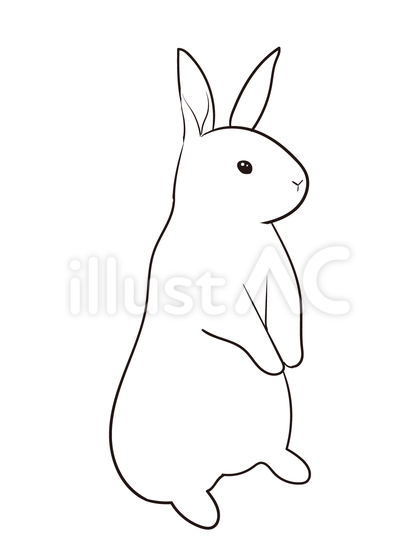立ち上がっているうさぎの線画イラスト No 22863495|無料イラスト・フリー素材なら「イラストac」