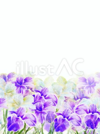 手描き水彩菖蒲フレームカード縦長イラスト - No: 1043626｜無料イラスト・フリー素材なら「イラストAC」
