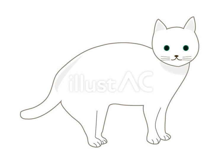 白猫イラスト No 24280177｜無料イラスト・フリー素材なら「イラストac」
