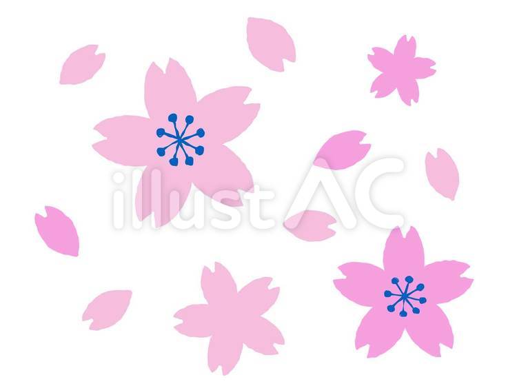 桜のワンポイント挿絵イラスト - No: 22577020｜無料イラスト・フリー素材なら「イラストAC」