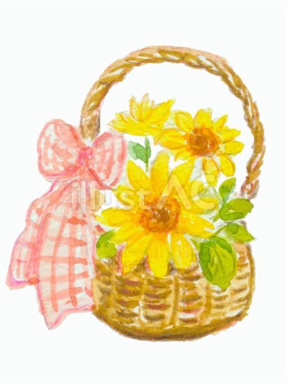ひまわりのバスケットアレンジ 水彩イラスト - No: 23938470｜無料イラスト・フリー素材なら「イラストAC」