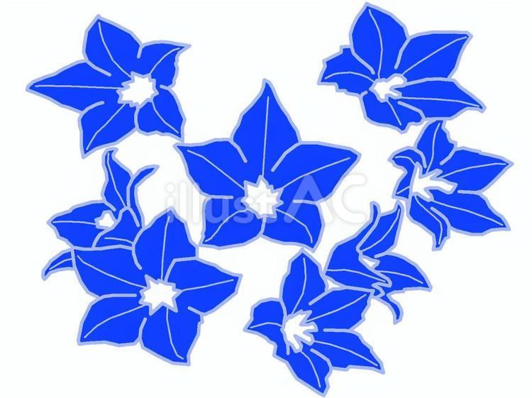 青色のキキョウの花アイコンイラスト No 23194663/無料イラスト フリー素材なら「イラストac」
