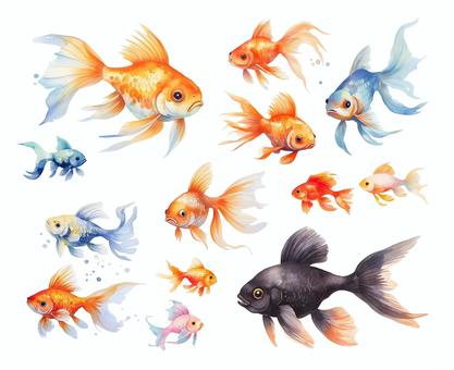 Free Vectors | set of various goldfish