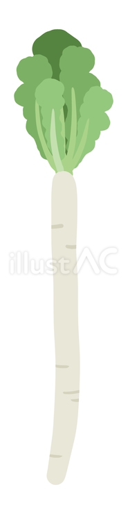 守口大根イラスト - No: 23234890｜無料イラスト・フリー素材なら「イラストAC」