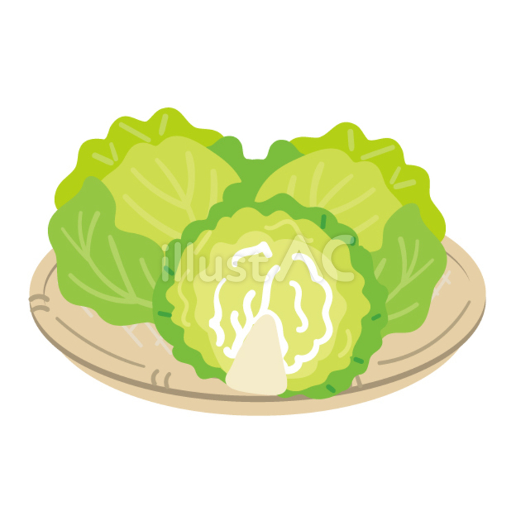 Free Vectors | April (spring cabbage)