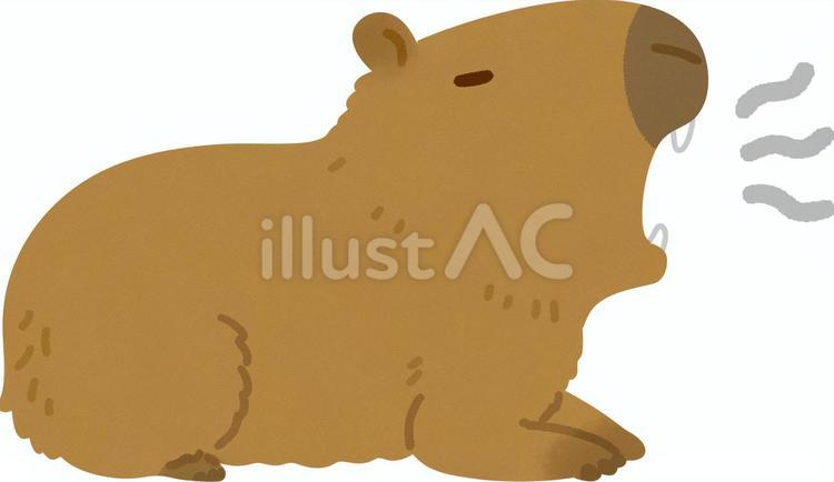 Free Vectors | Capybara yawning