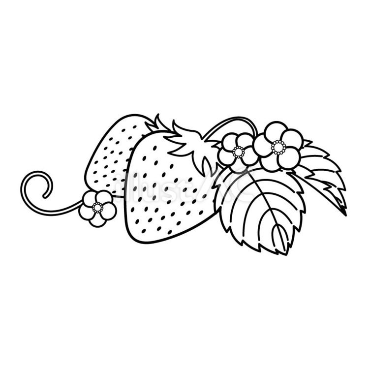 Strawberries Clip Art Black And White