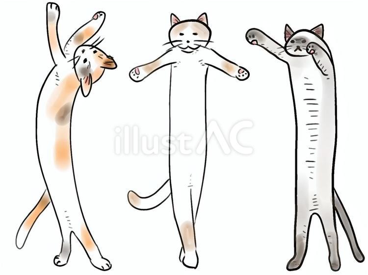 Free Vectors | anyway long cats