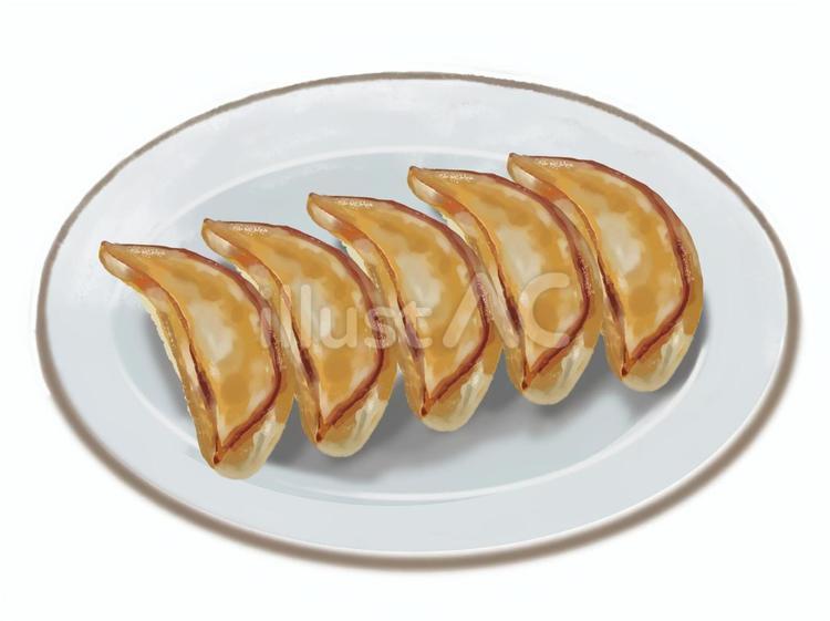 焼き餃子（4）イラスト - No: 26408023｜無料イラスト・フリー素材なら「イラストAC」
