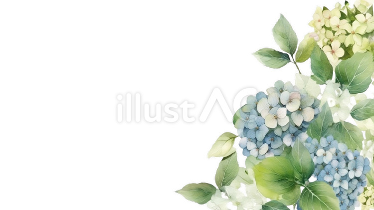 あじさいイラスト - No: 23949464｜無料イラスト・フリー素材なら「イラストAC」