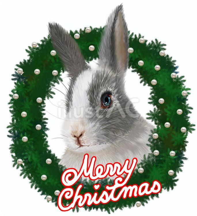 はちわれウサギクリスマスリースイラスト - No: 23278687｜無料イラスト・フリー素材なら「イラストAC」