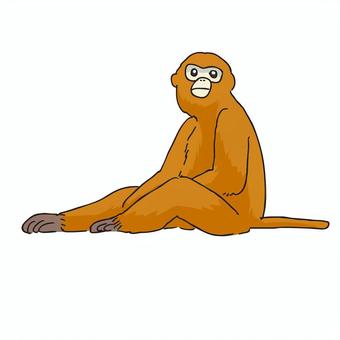 オカピイラスト - No: 2104244／無料イラストなら「イラストAC」