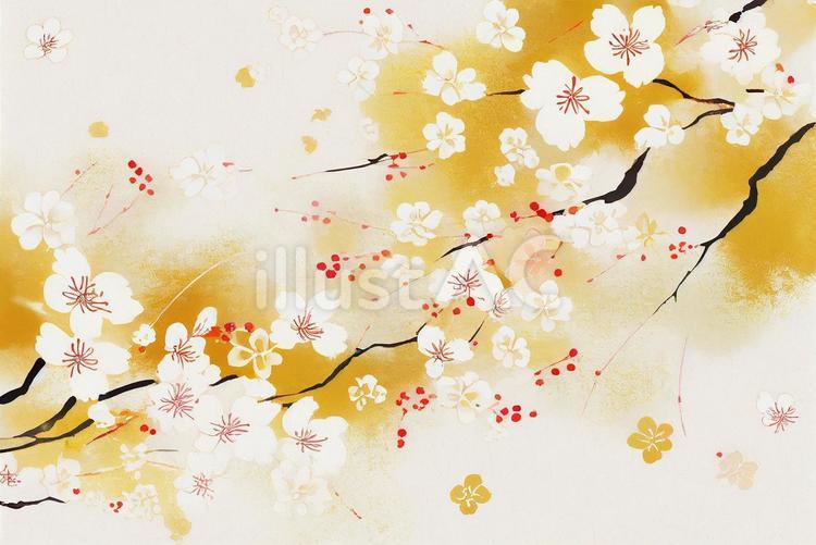 桜の花と金色の和紙のお祝い背景 年賀状イラスト No 23508944／無料イラスト フリー素材なら「イラストac」